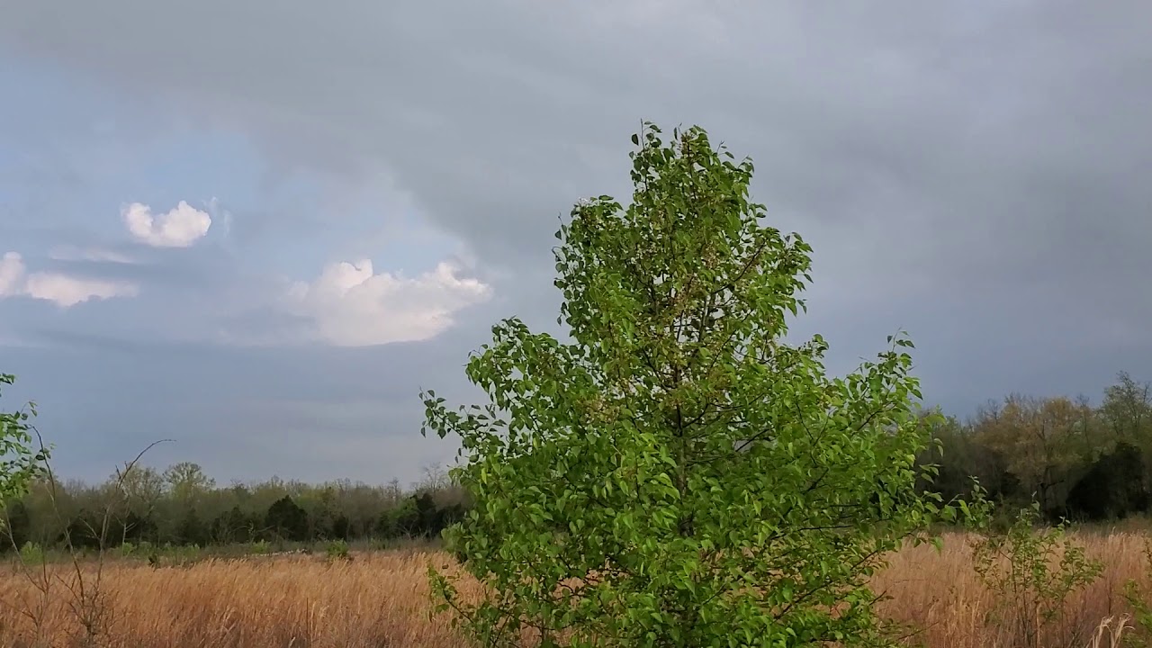 New hike Boston Kentucky U.S.A. - YouTube