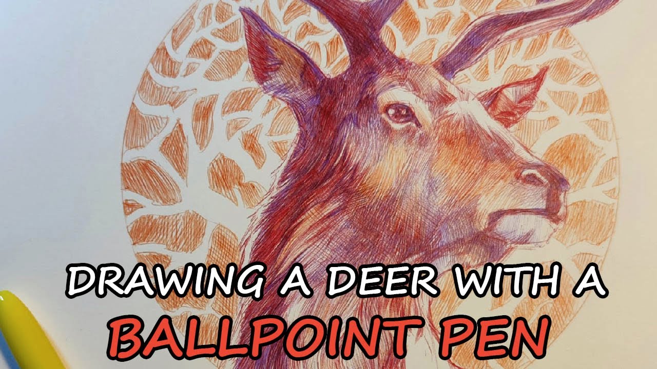 Drawing of a Deer with colour ballpoint pen - YouTube
