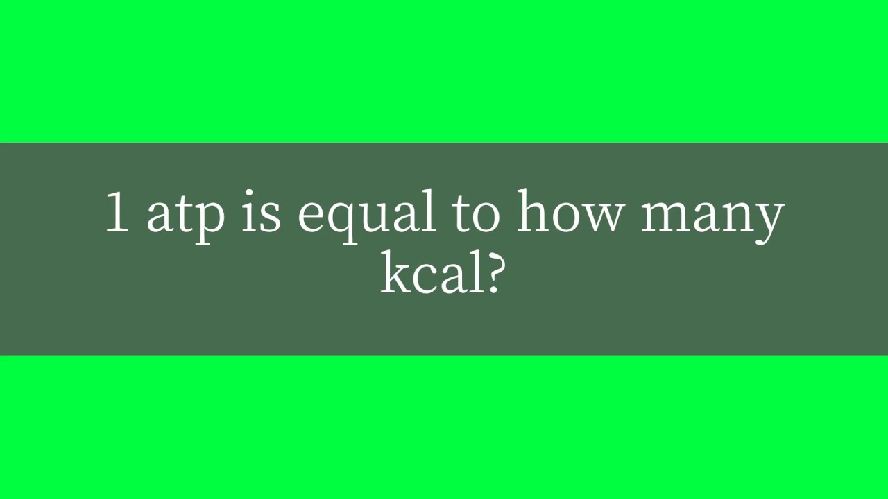 1 Atp Is Equal To How Many Kcal YouTube 1-atp-is-equal-to-how-many-kcal-youtube