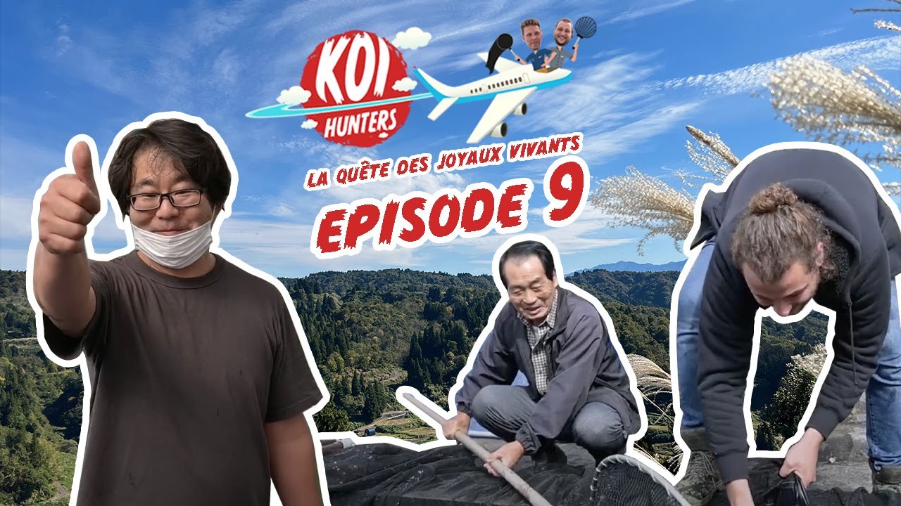 Koi Hunters - La quête des joyaux vivants - Episode 9 - YouTube