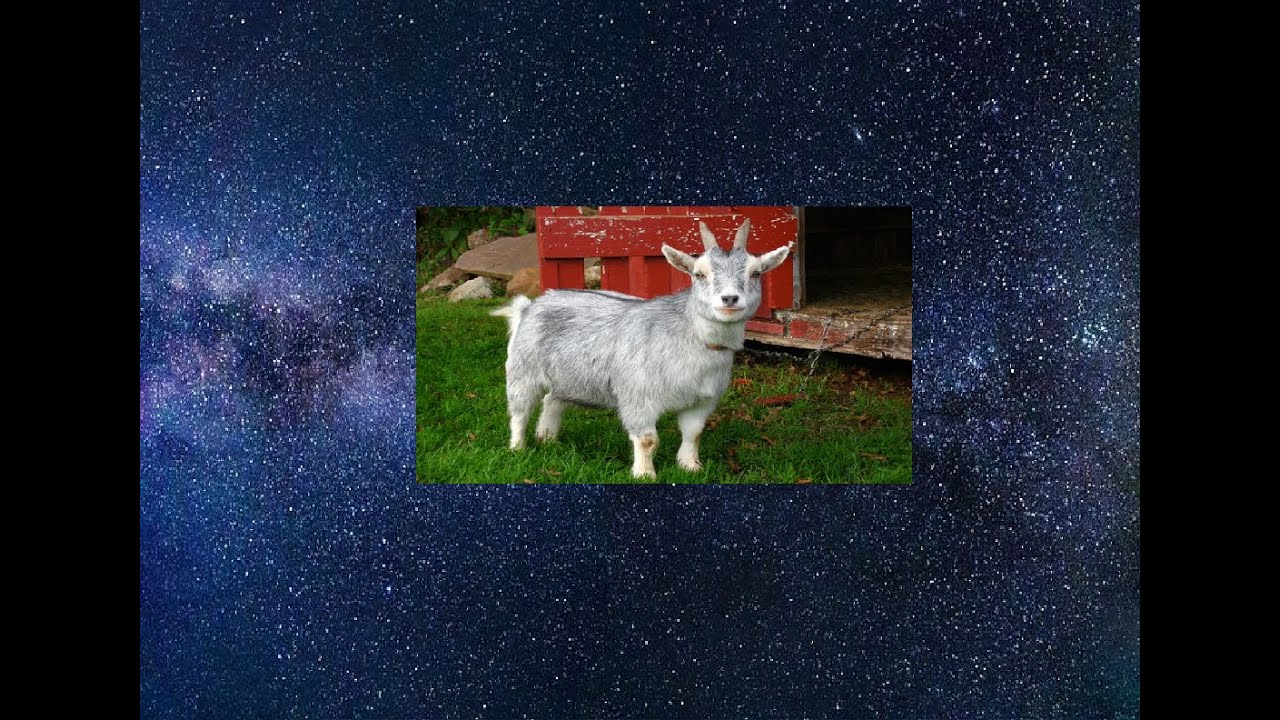 SPACE GOAT | goat simulator - YouTube