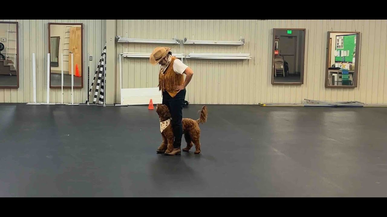 Boot Scootin' Boogie September 2024 Boot Scootin' Boogie September 2024 ...