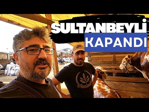 Sultanbeyli YOK Ferhatpaşa VAR | 2026 Kurbanlık Fiyatları 