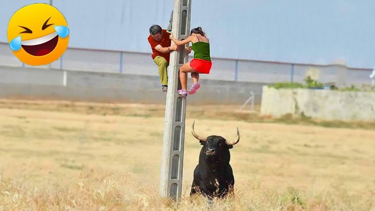 Try Not to Laugh Challenge #31 🤣 Best Fails of the week - YouTube