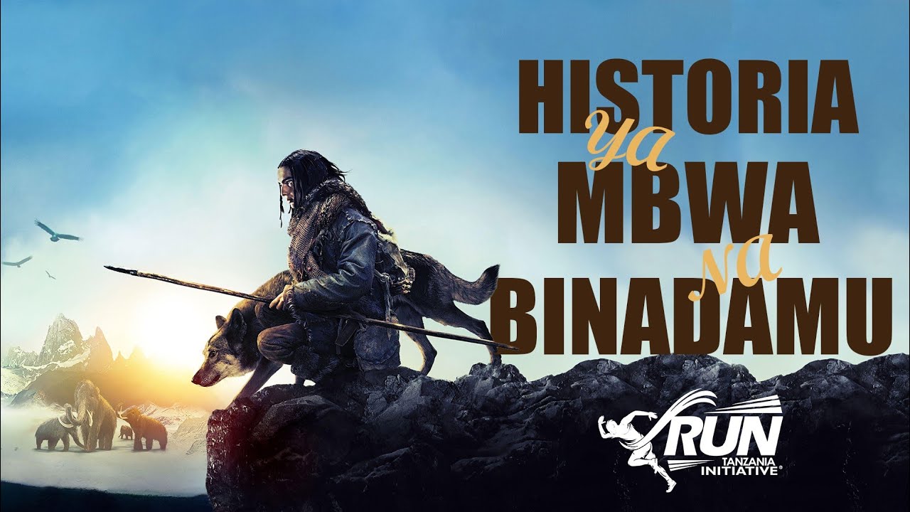 HISTORIA YA UHUSIANO KATI YA BINADAMU NA MBWA| MBWA MWITU RAFIKI WA ...