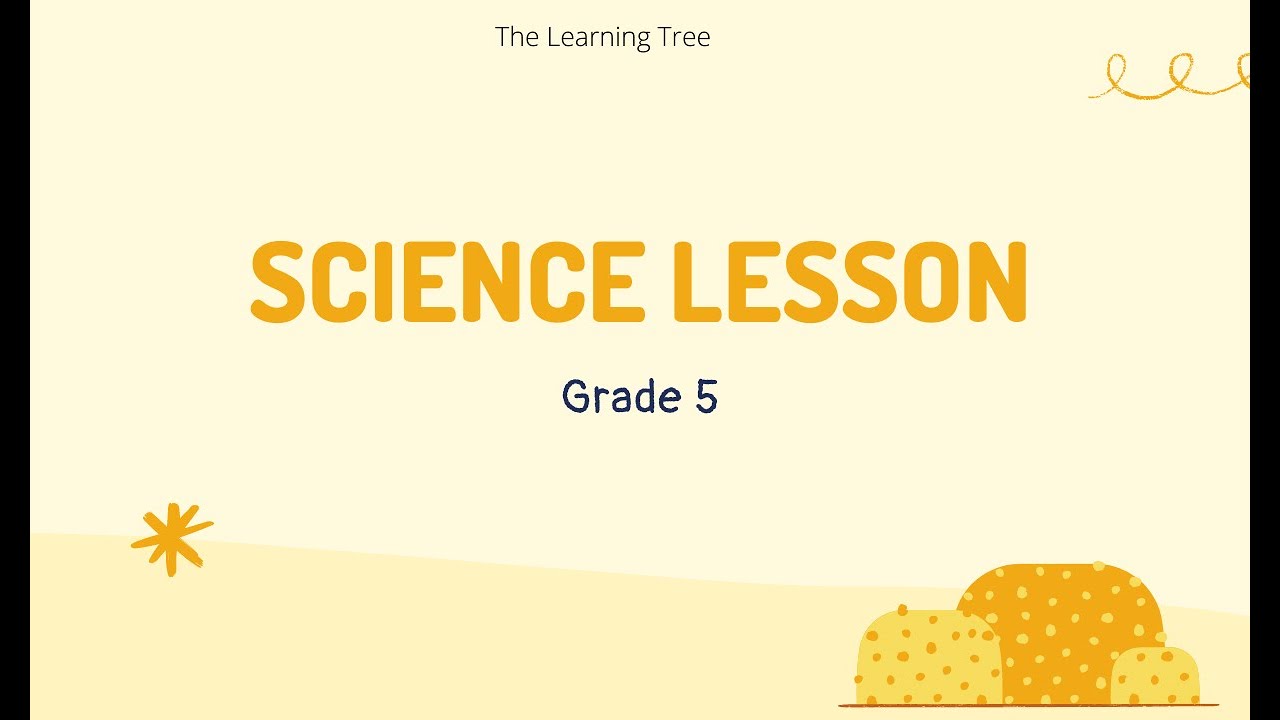 Grade 5 - Science - Chapter 1 Introducing Plants - I - YouTube