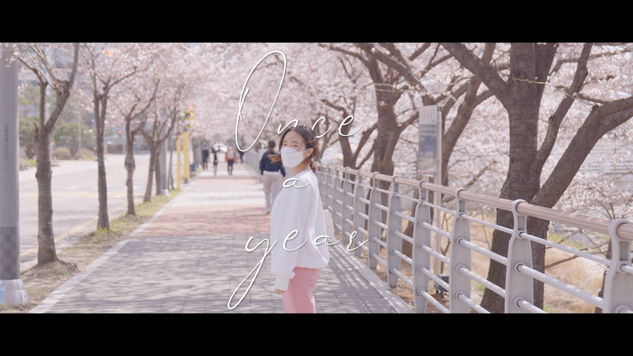 사진과 영상을 위한 완벽한 카메라 SONY A7M4 - cinematic vlog - YouTube