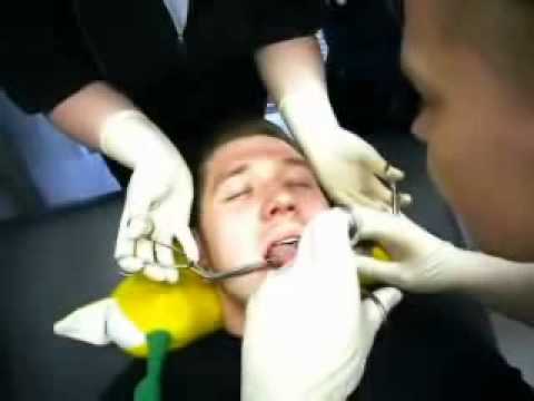 Tongue splitting - YouTube