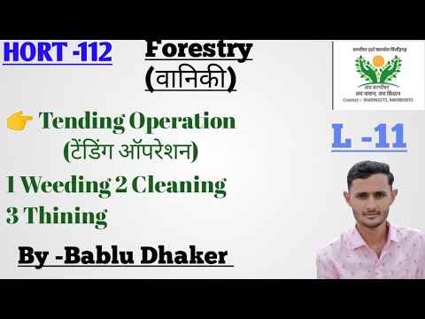 Forestry(वानिकी),HORT-112,🌲 Tending Operation (टेंडिंग ऑपरेशन भाग -1)🌲 ...