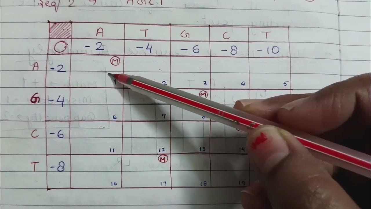 Needleman Wunsch Algorithm for sequence alignment - YouTube