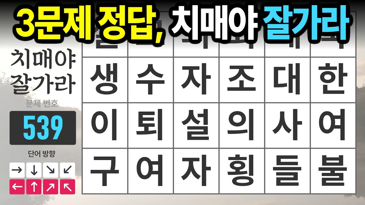어르신 3문제 찾으시면 치매야 잘가라 숨은단어찾기치매예방치매테스트치매예방퀴즈단어퀴즈치매예방활동낱말퀴즈 Youtube