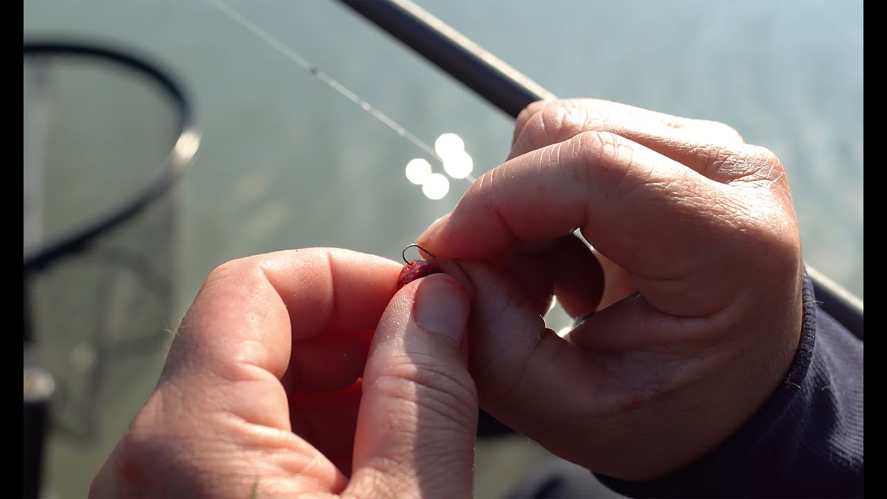 HOW TO FISH WITH EXPANDER PELLETS With Des Shipp. - YouTube