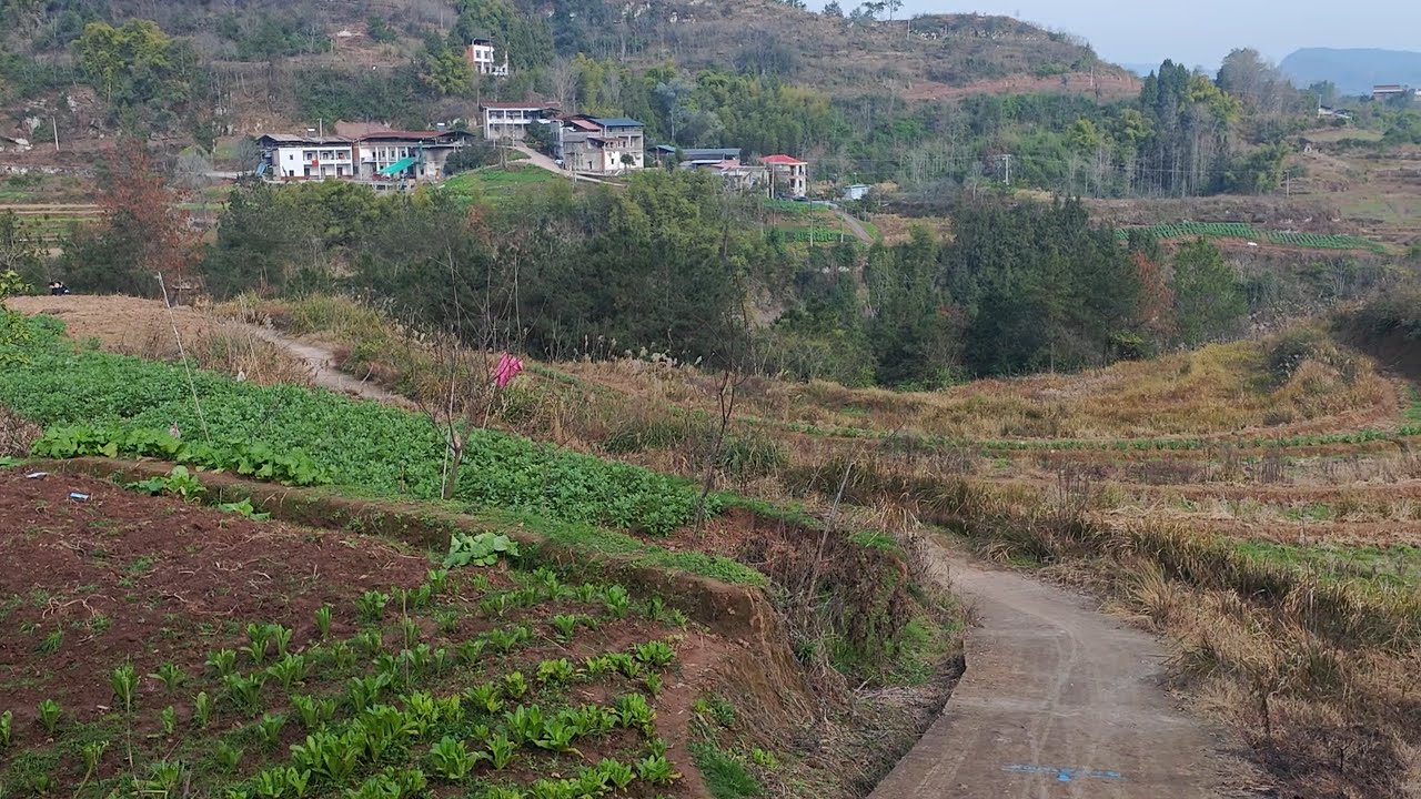China Rural Village Walk. Peaceful Traditional Mountain Village Life ...