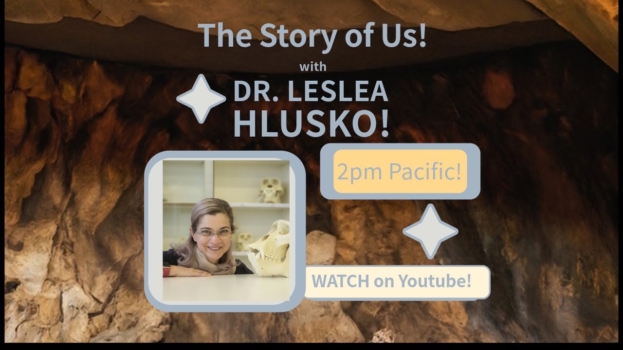 What Can Atapuerca and Teeth Tell Us About Human Evolution? Dr. Leslea ...