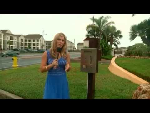RACHEL COLE REPORTER REEL - YouTube