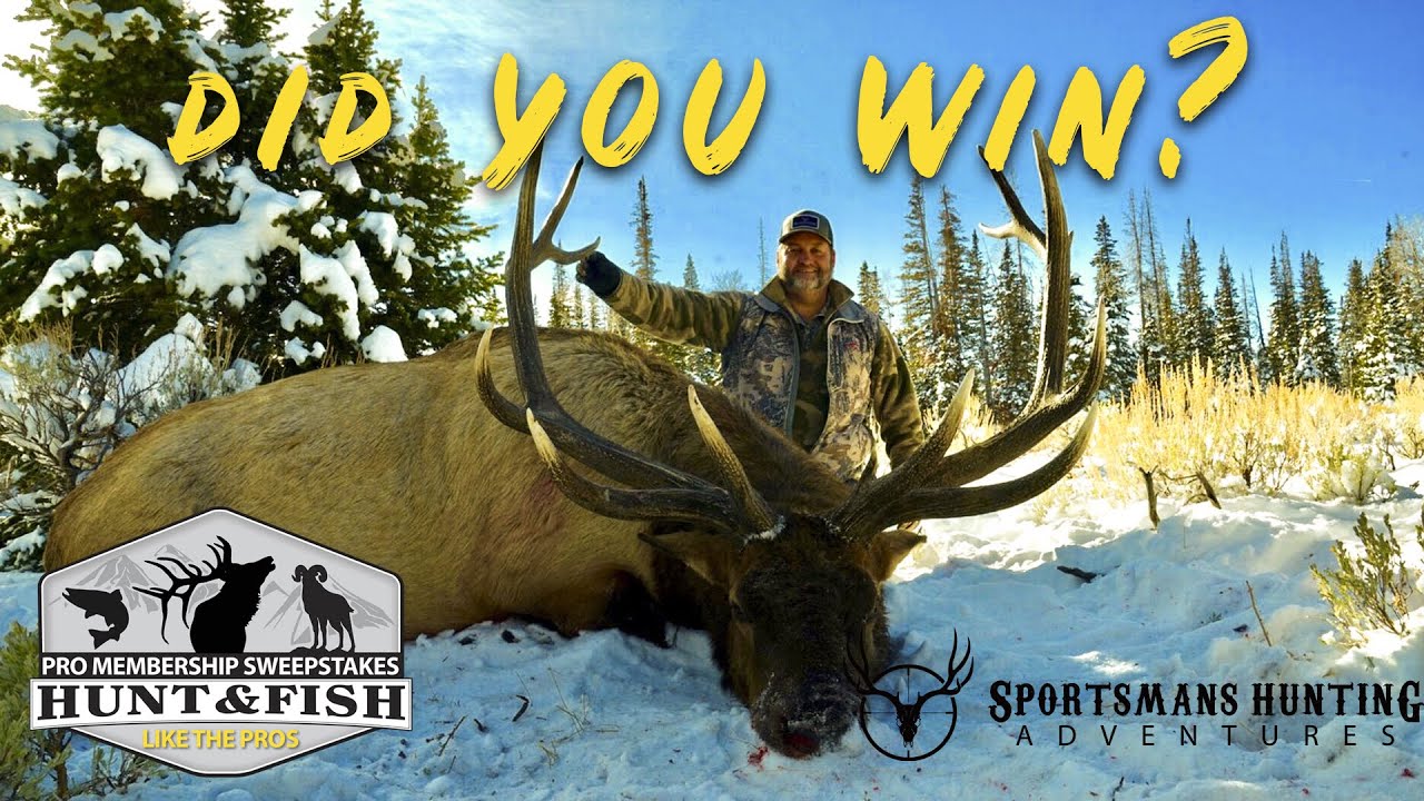 Pro Membership Sweepstakes Drawing March, 10th, 2020 - YouTube