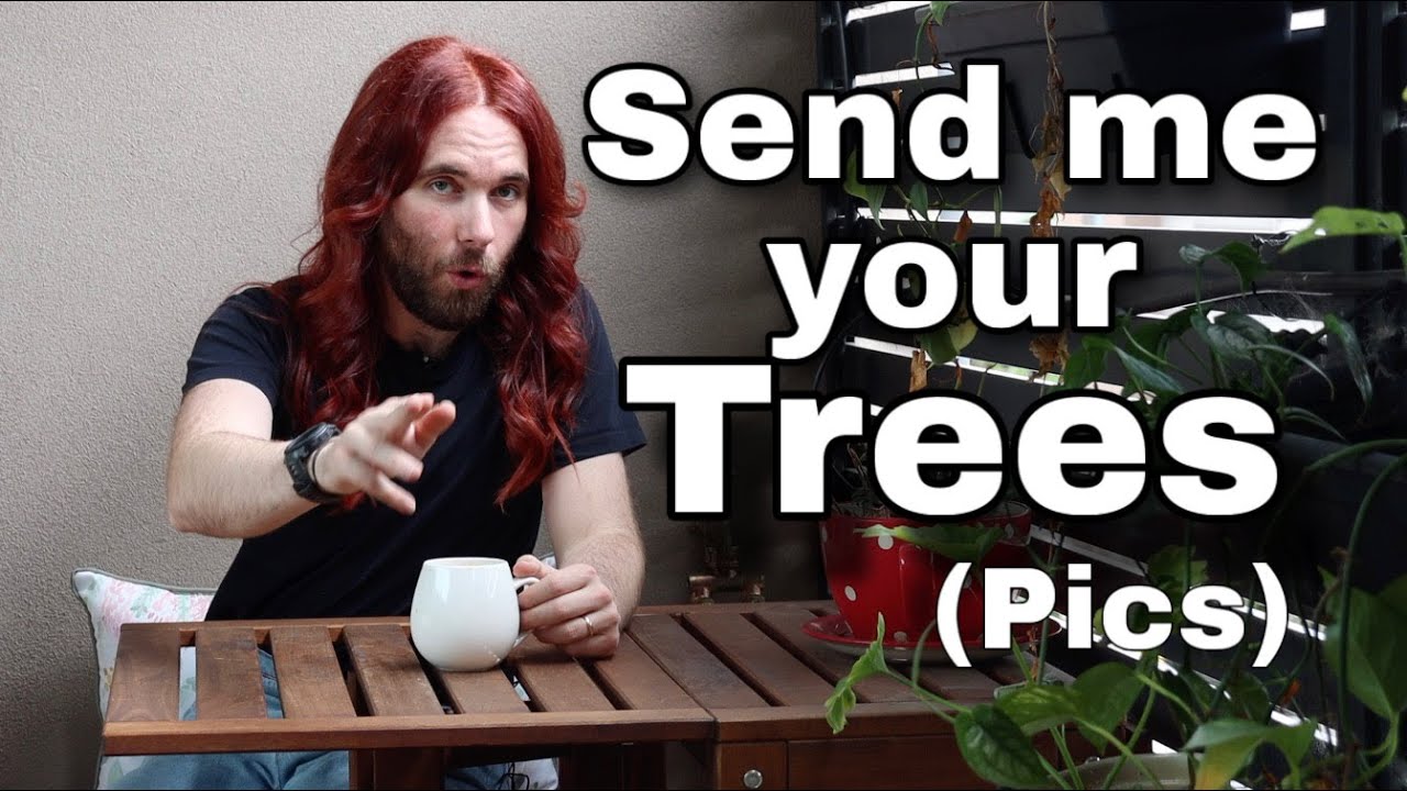 SEND ME YOUR TREES (Pictures) - YouTube