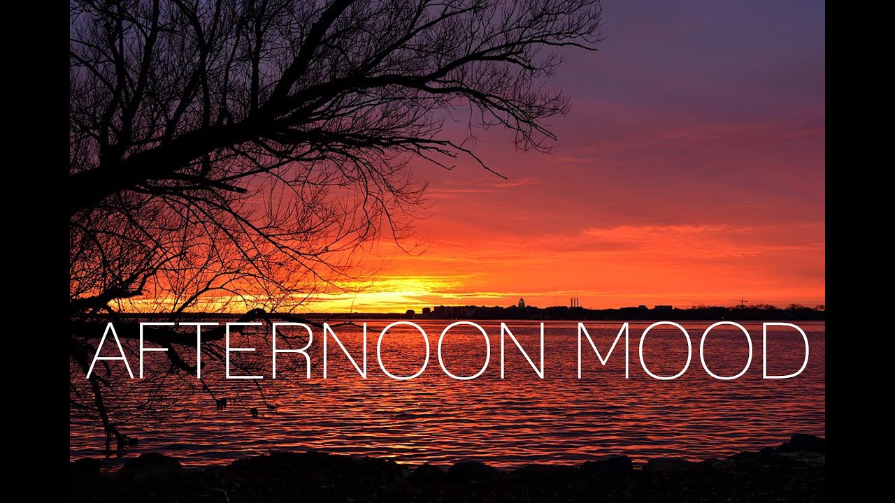 Video 31 : Afternoon Mood – Relaxing,Recharge,Stress Relief,Healing ...