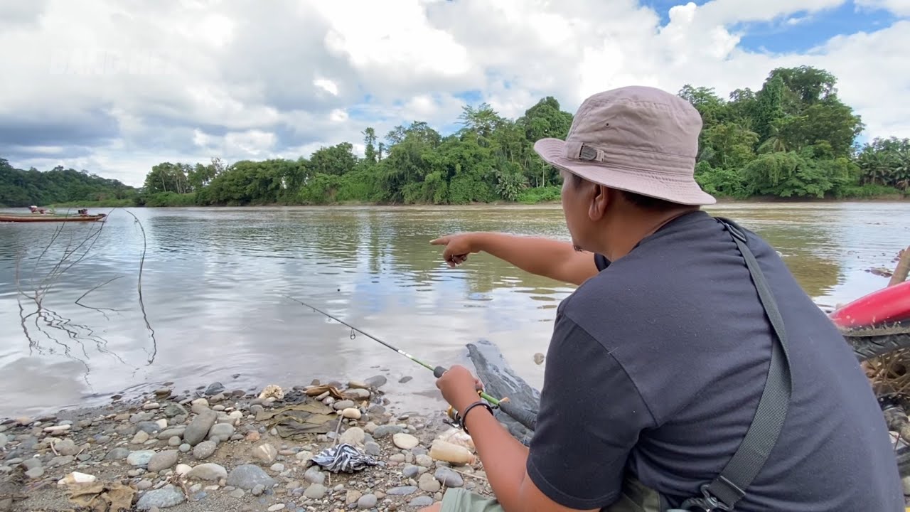 Ikannya Lagi Antri Disini Berebut Umpan LUMUT - YouTube