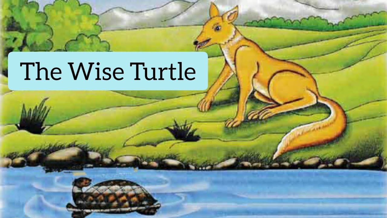 The Wise Turtle, Moral Story, English Story Connector Voice - YouTube