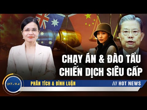 Chiến dịch chạy án và giải cứu siêu cấp: Ai đứng sau Dương Lan Lan?