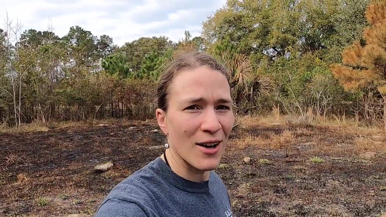 Introduction to Plant Adaptations to Fire - REM 144 - YouTube