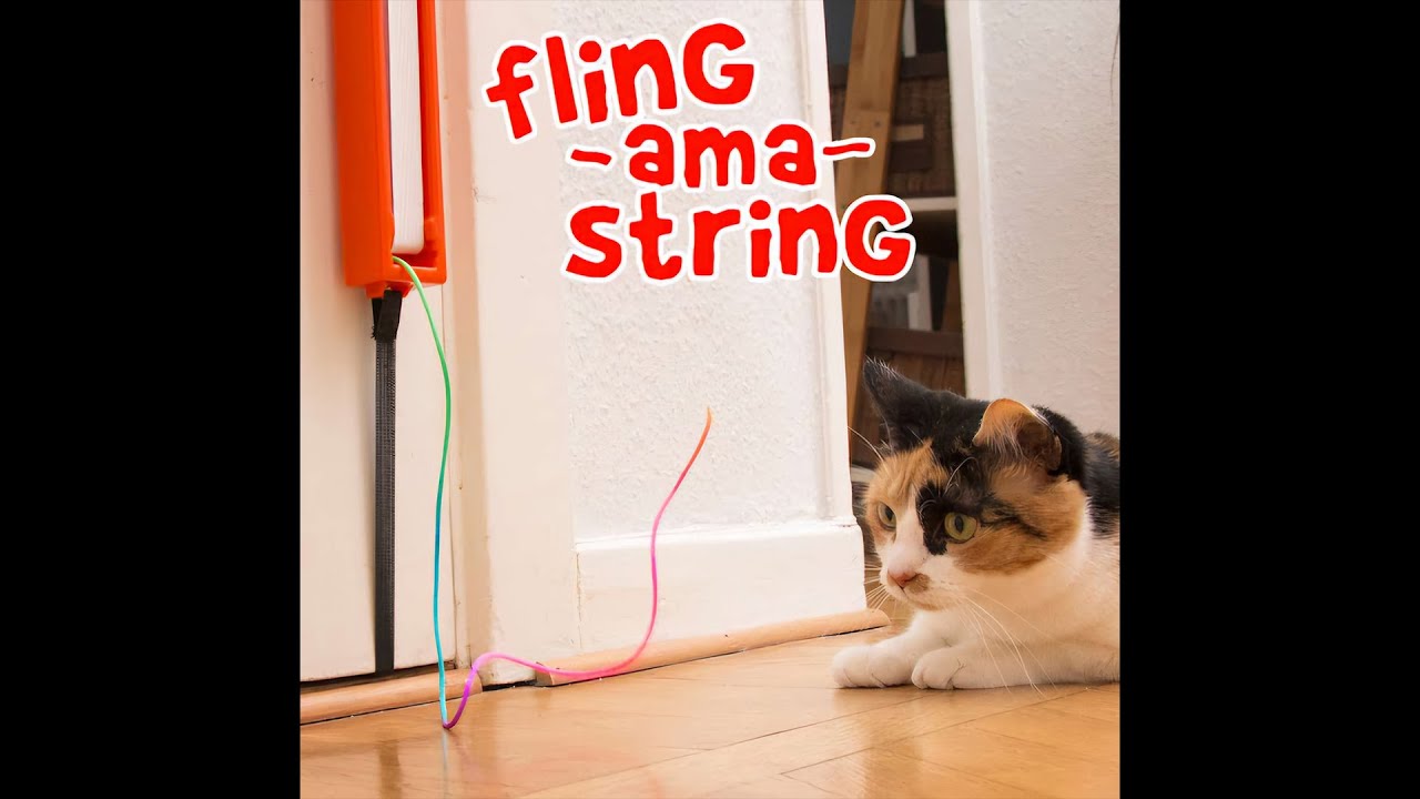 Moody Pet - Fling-Ama-String - Award-winning, battery-operated cat toy ...