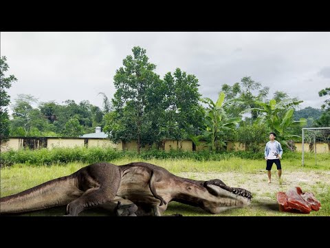 Dinosaur's Awakening: Set traps to hunt dinosaurs t rex alive - YouTube