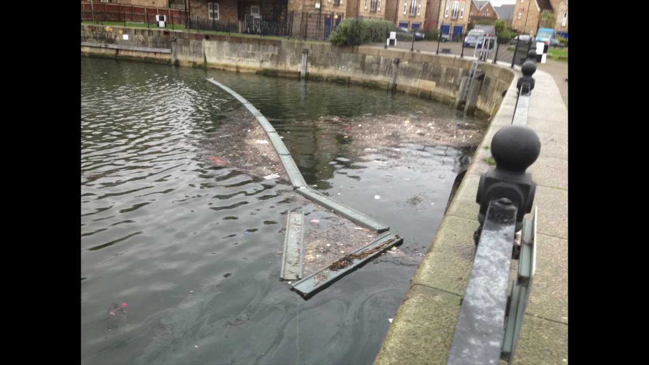 The litter boom in 5 days - YouTube