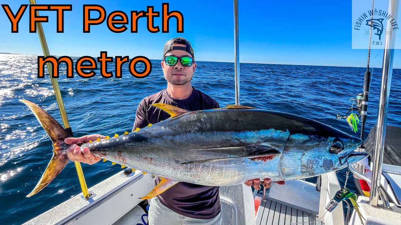How we catch EPIC PERTH METRO YELLOWFIN TUNA | Fishing Western ...