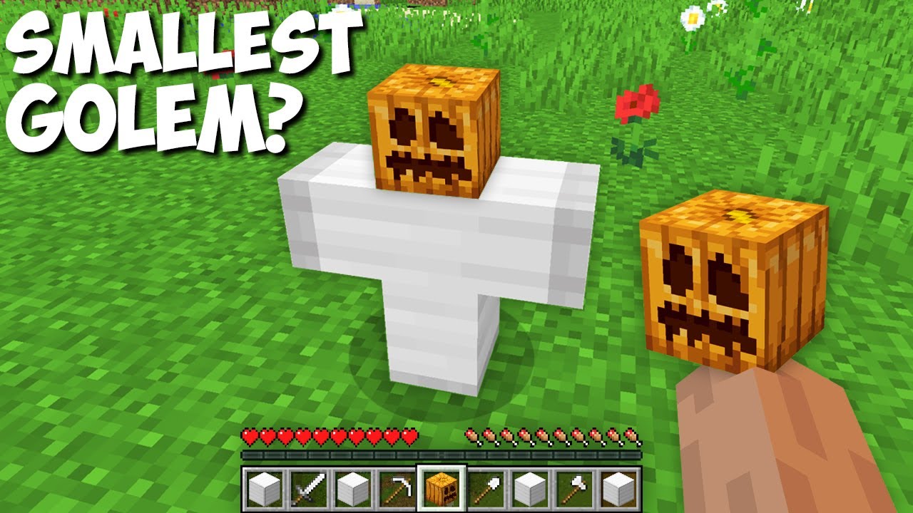What HAPPENS if you SPAWN the SMALLEST GOLEM in Minecraft ? TINY GOLEM ...