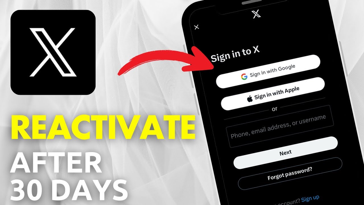 How To Reactivate Twitter Account After 30 Days - YouTube