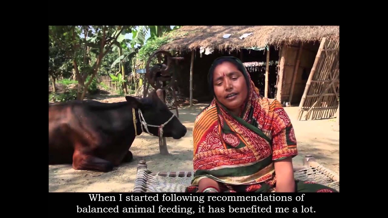 Ration Balancing Programme - YouTube