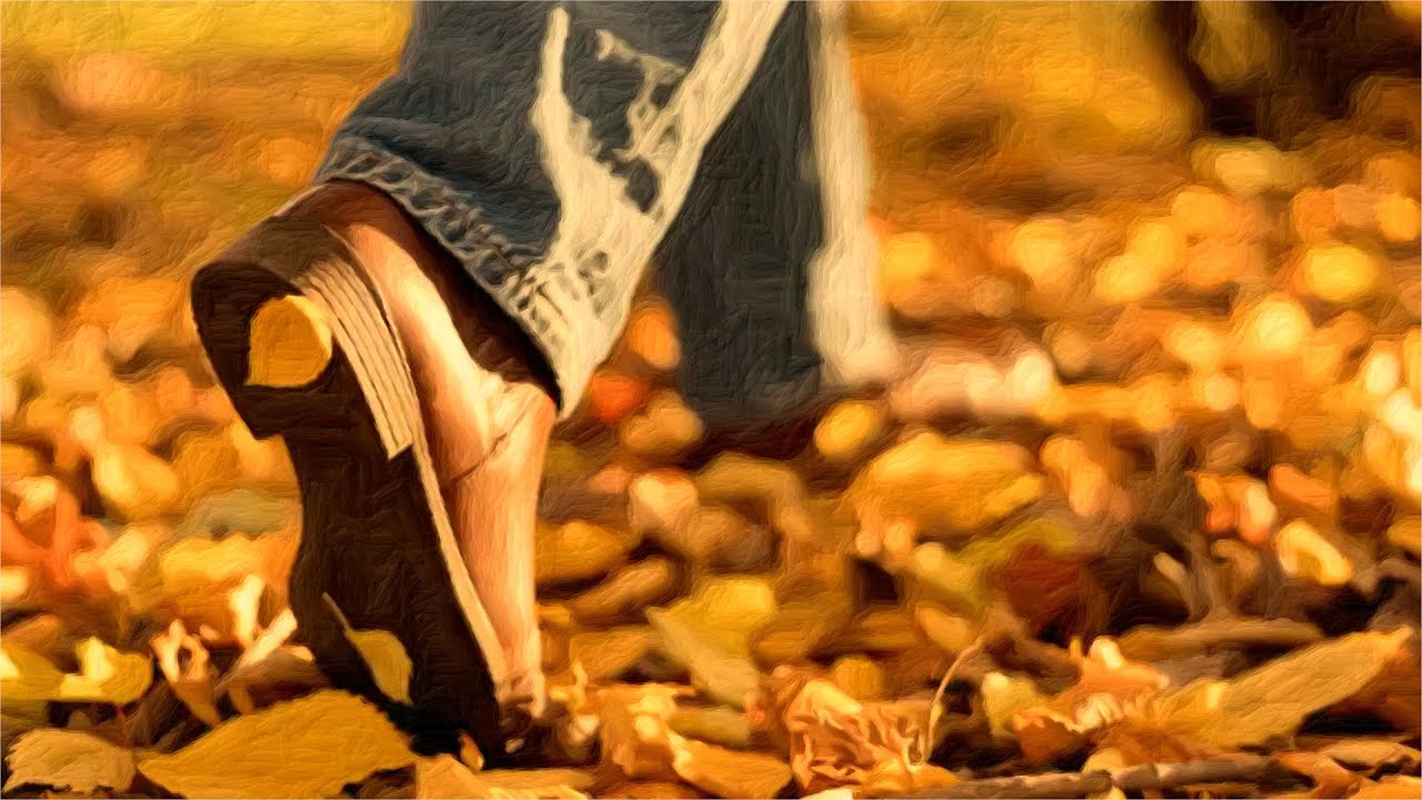 Walking on Leaves Sound Effect - YouTube