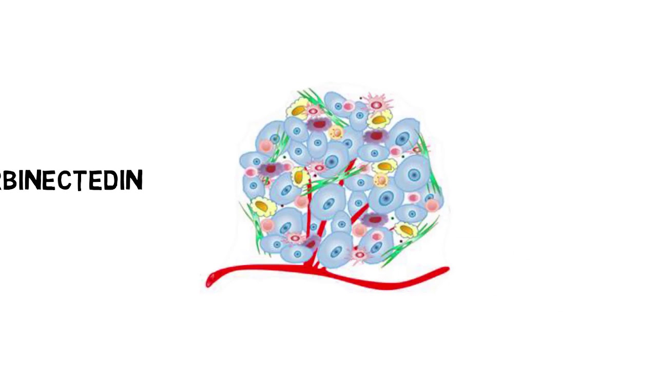 Lurbinectedin Mechanisim of Action - YouTube