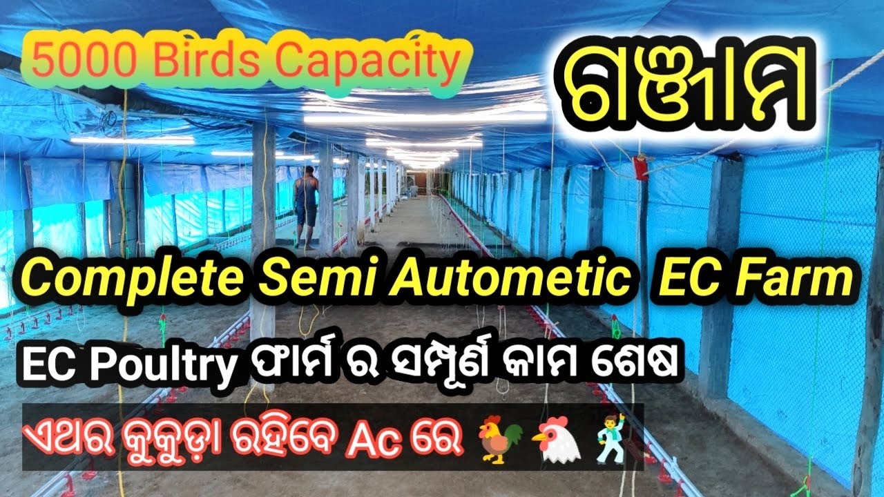 ଏଥର କୁକୁଡ଼ା ରହିବେ AC ରେ / 5000 Birds Capacity / Ganjam / Ec Poultry ...