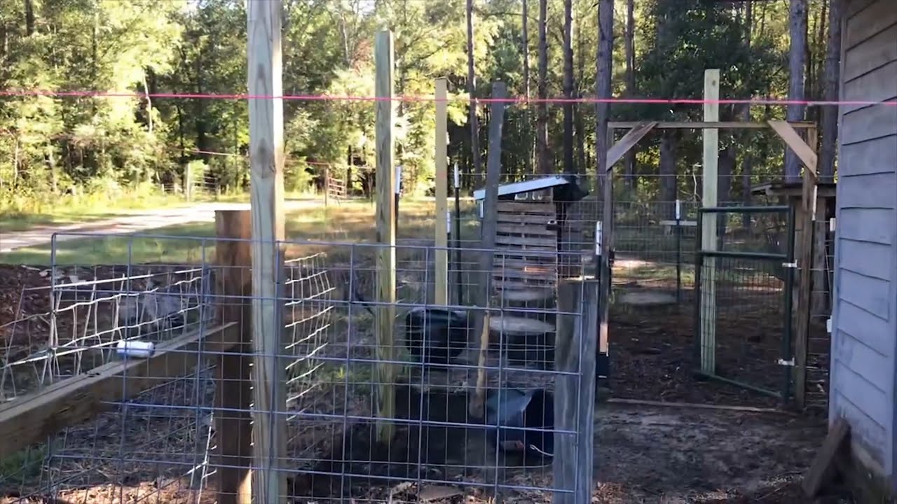 Setting Posts for Goat Barn Lean-To - YouTube