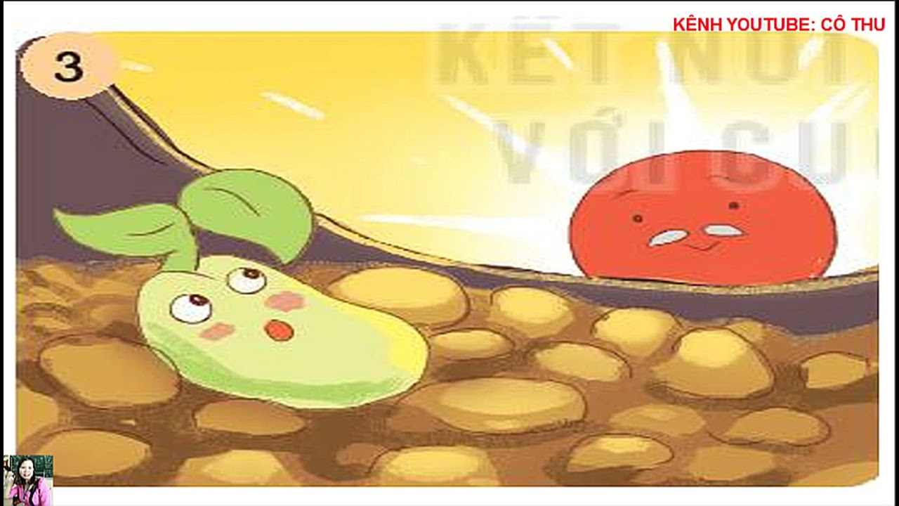 Chú đỗ con| Kể chuyện lớp 2| sách Kết nối tri thức với cuộc sống| Cô ...
