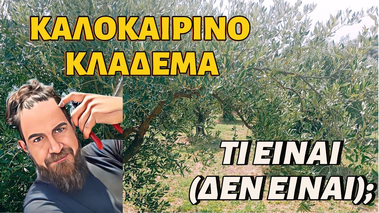 ΚΑΛΟΚΑΙΡΙ & ΚΛΑΔΕΜΑ -ΠΡΟΣΟΧΗ ΕΧΟΥΝ ΜΙΛΗΣΕΙ ΚΑΘΗΓΗΤΕΣ ΧΡΟΝΙΑ ΠΡΙΝ🙏# ...