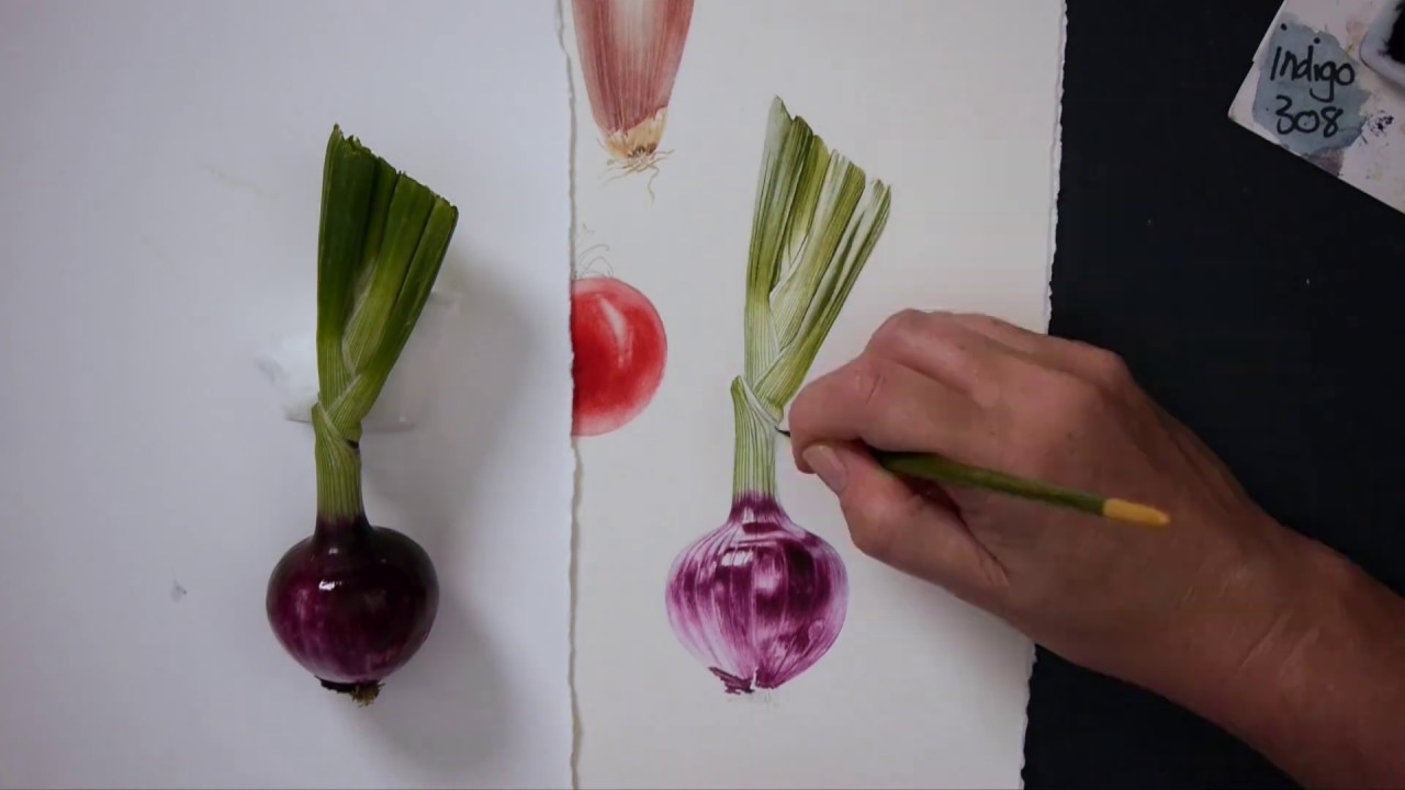 Painting a Red Spring Onion - Preview ⎮Billy Showell ⎮Watercolour ...