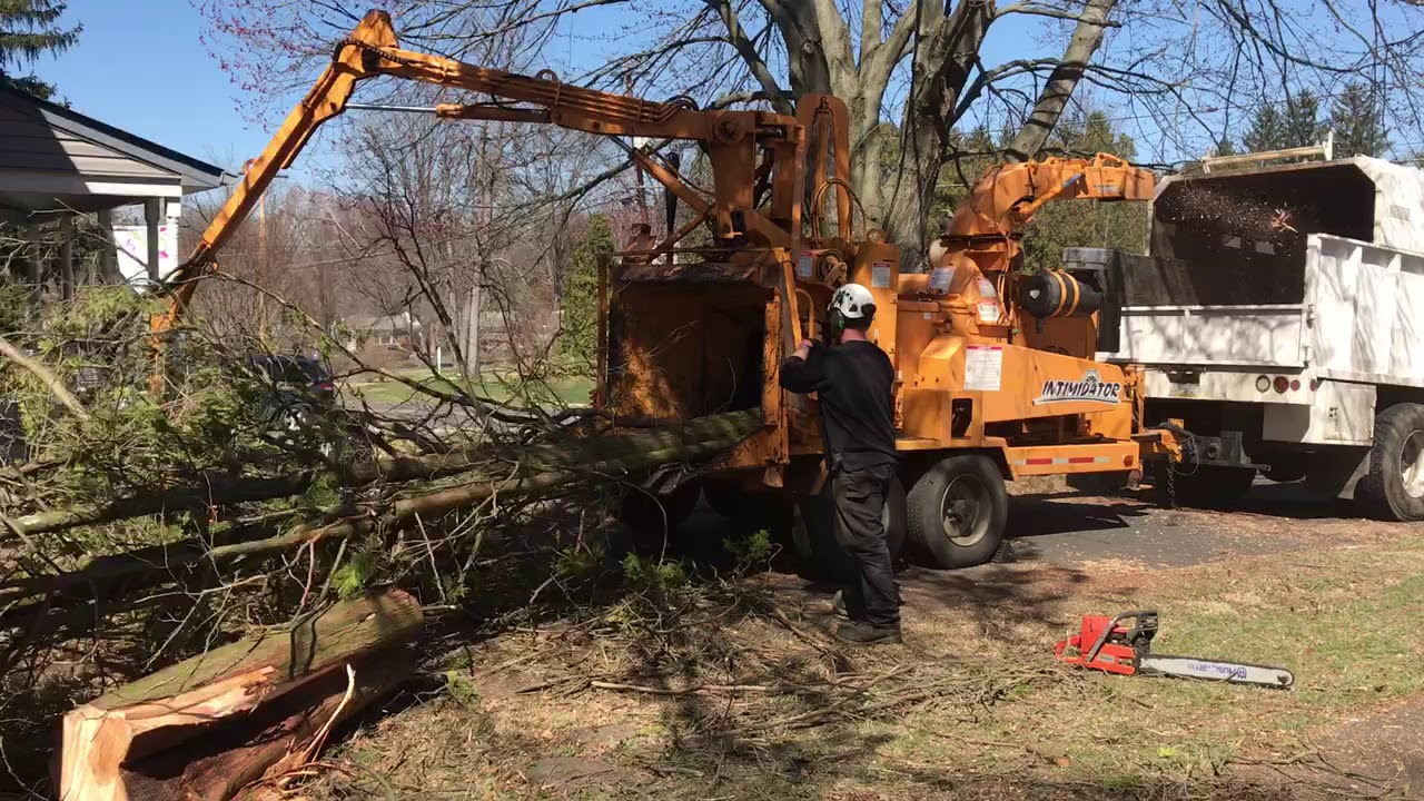 Bandit 1890 - YouTube