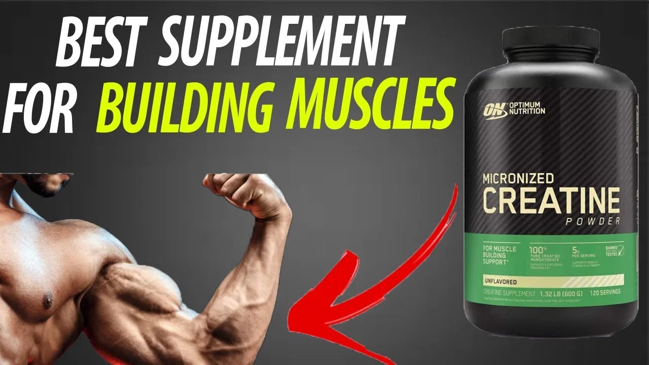 Why Creatine Is The Most Powerful Muscle Building Supplement? - YouTube