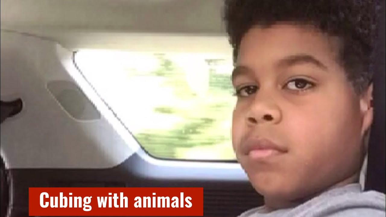 Cubing with animals!? - YouTube