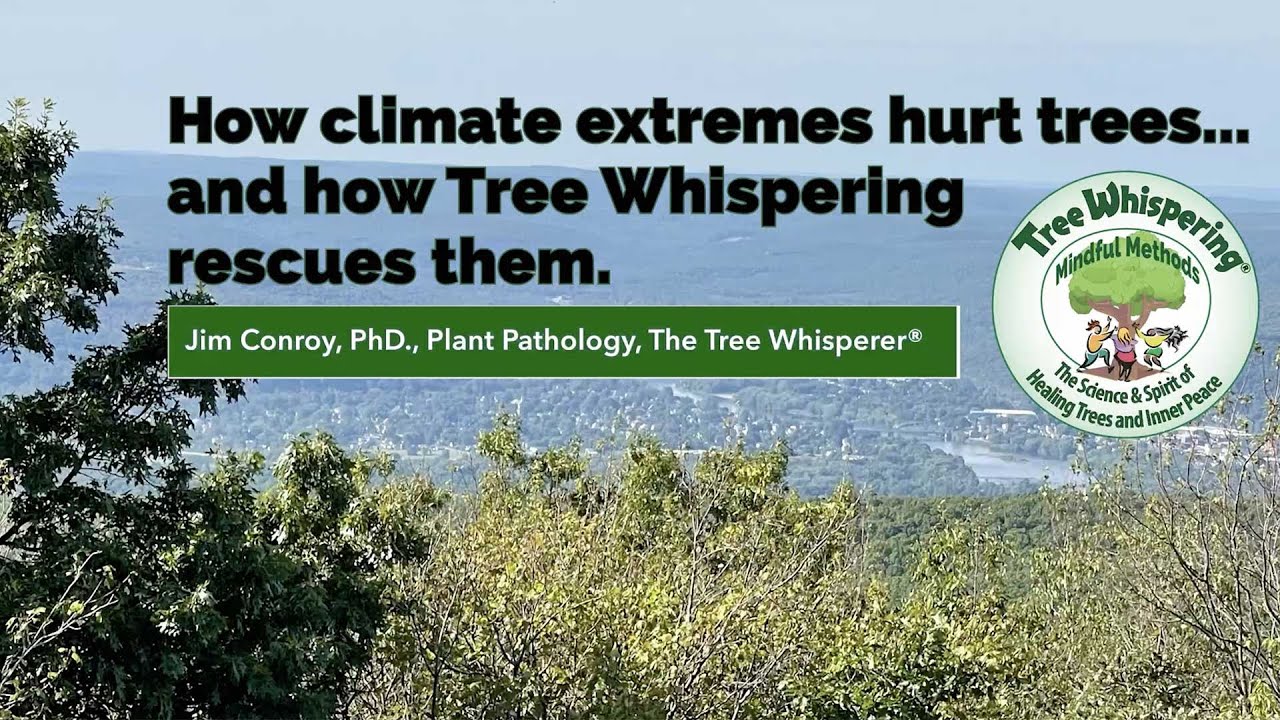 How Climate Extremes Hurt Trees... and how Tree Whispering Rescues Them ...