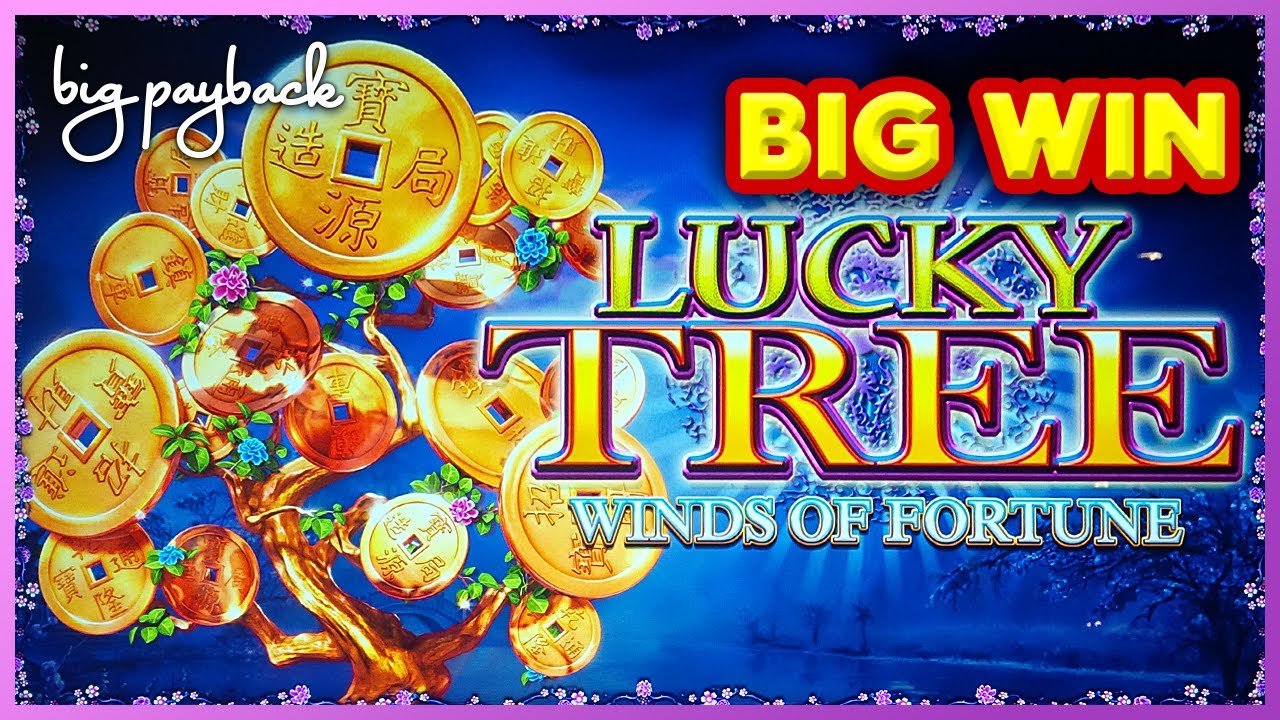 WHAT WAS THAT?! Lucky Tree Winds of Fortune Slot - MAX BET BONUSES ...
