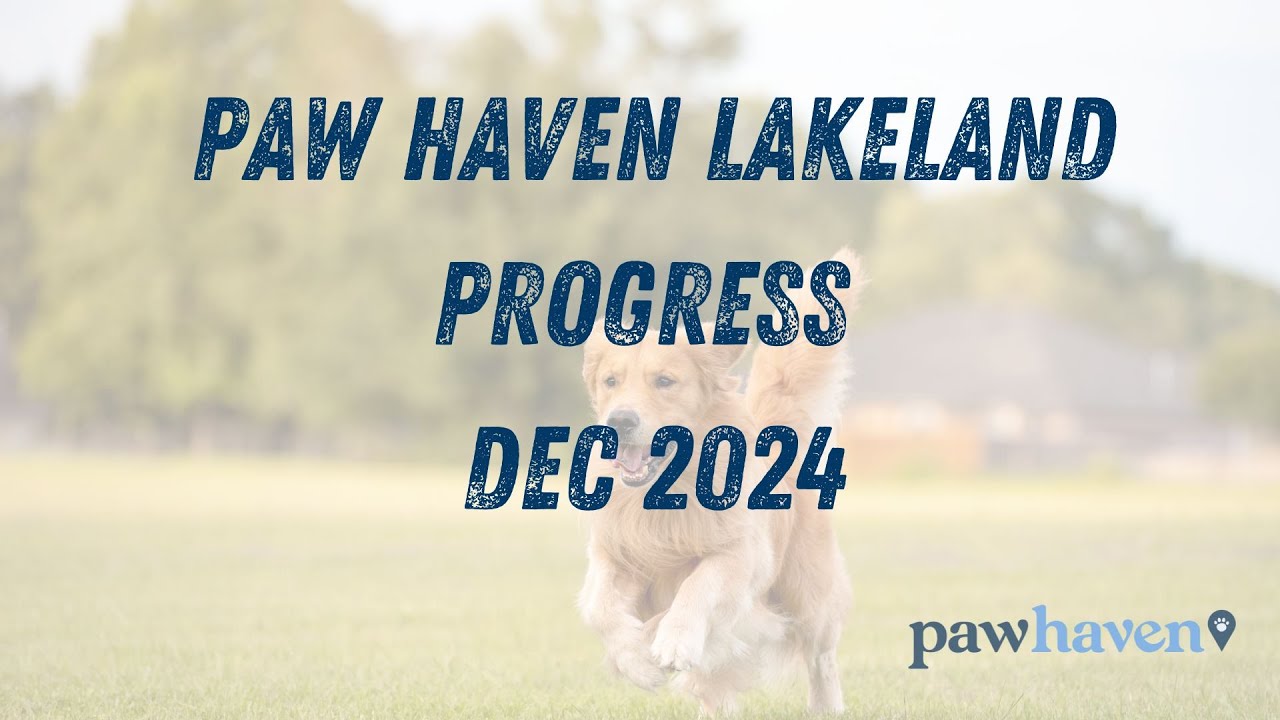 Paw Haven Lakeland Dec 2024 Update - YouTube