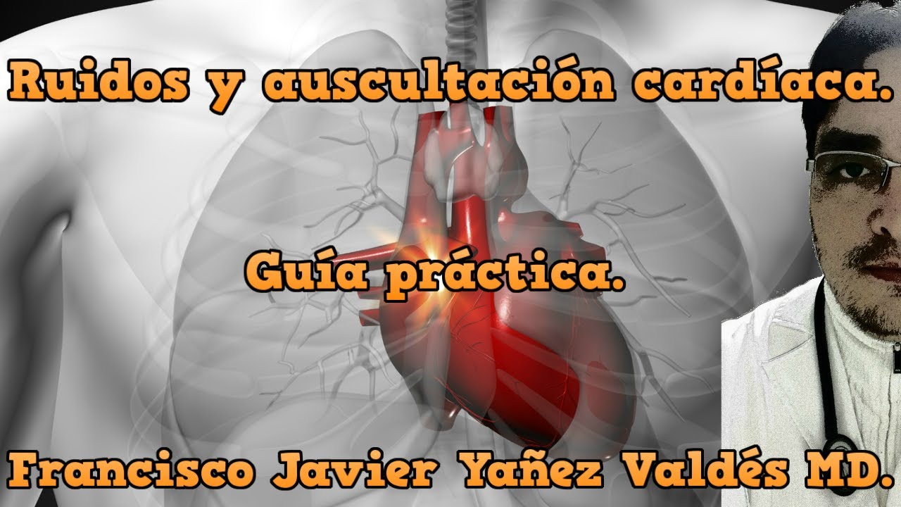 【Auscultación y ruidos cardíacos】- Guía práctica. 💉🏥 - YouTube