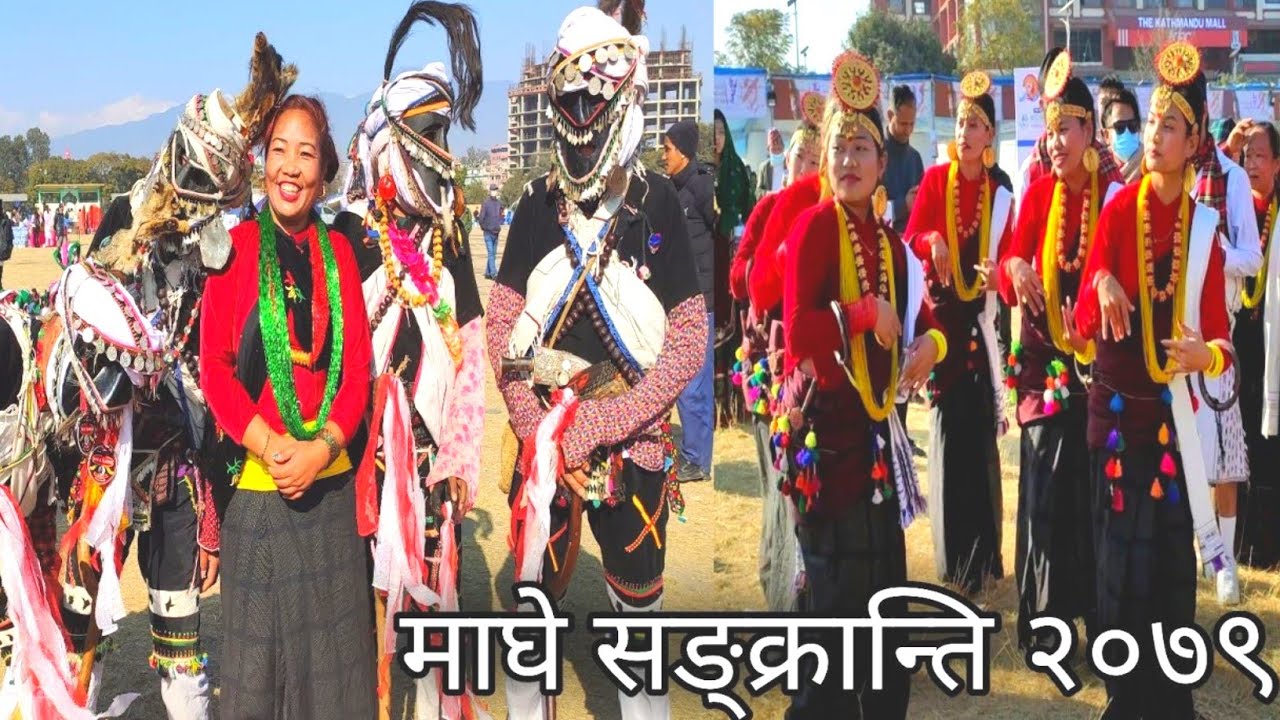 Happy Maghe Shankrati 2079 😊 Celebration ll Festival of Yam (TARUL)😋🍠🥔 ...