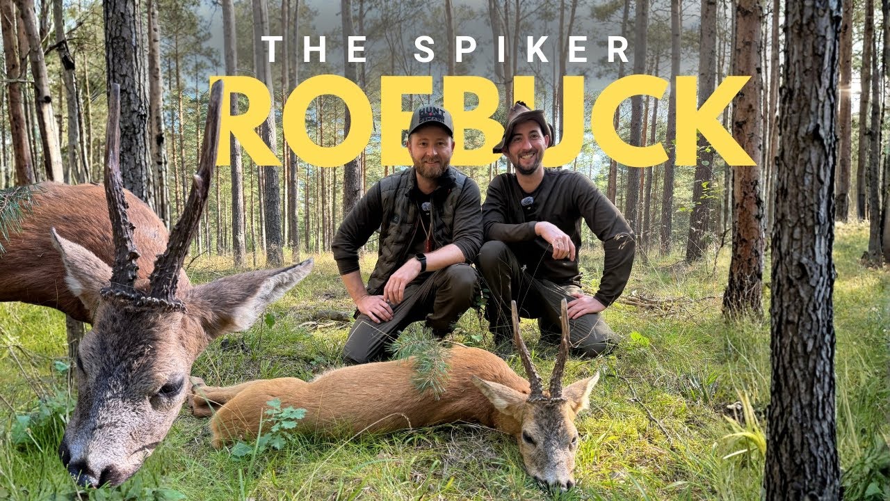 The Spiker Buck - Close to the Coastline - YouTube