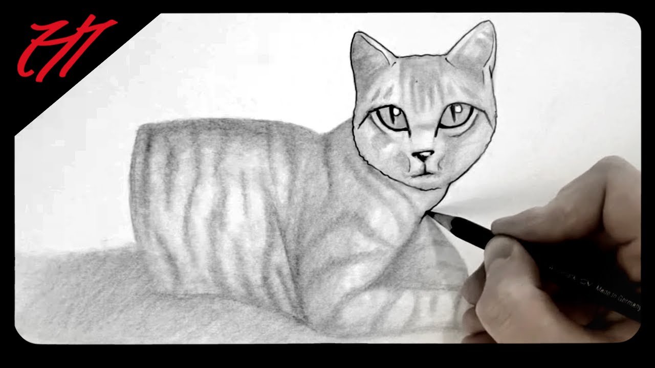 Drawing SCP-529 | Josie The Half Cat - YouTube